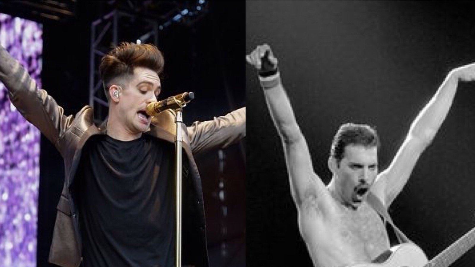 Petition · Get Brendon Urie to do an album dedicated to Queen covers ...