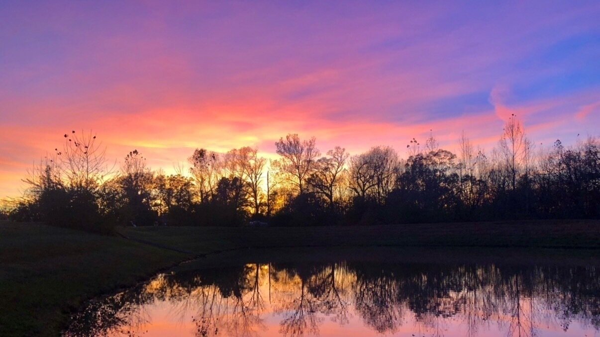 Petition · Stop data center development at Crooked Creek Beef Farm ...