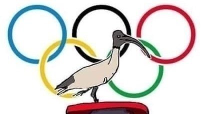 Petition · Bruce The Bin Chicken for Olympic Mascot - Australia ...