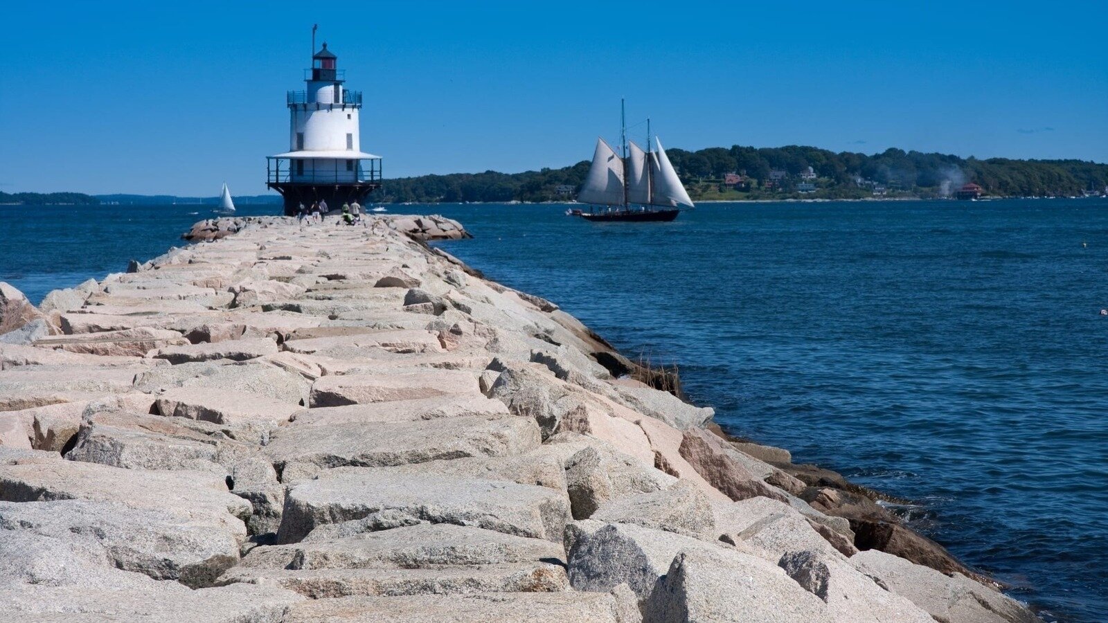 Petition · Revise the Mascot of Southern Maine Community College to a ...