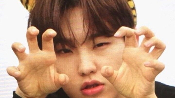 Petition · Make hoshi sing ‘roar’ at the eu concerts - Netherlands ...