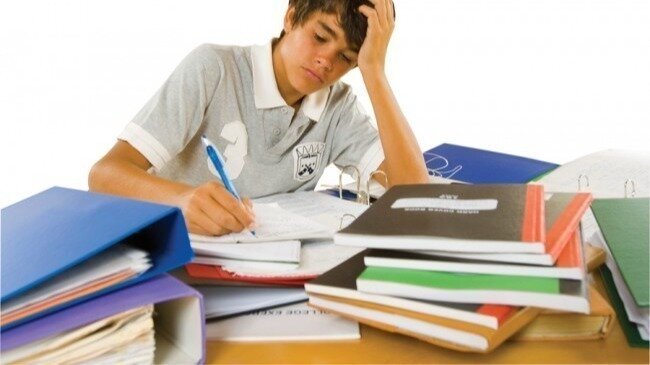 Petition · Less school work for kids - United States · Change.org