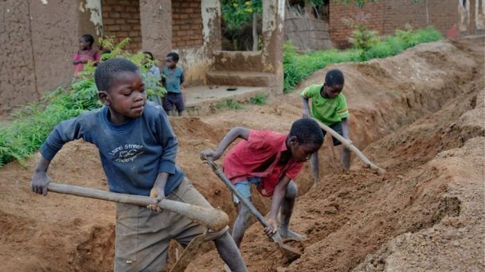 Petition · Enact laws restricting child labor in developing countries ...