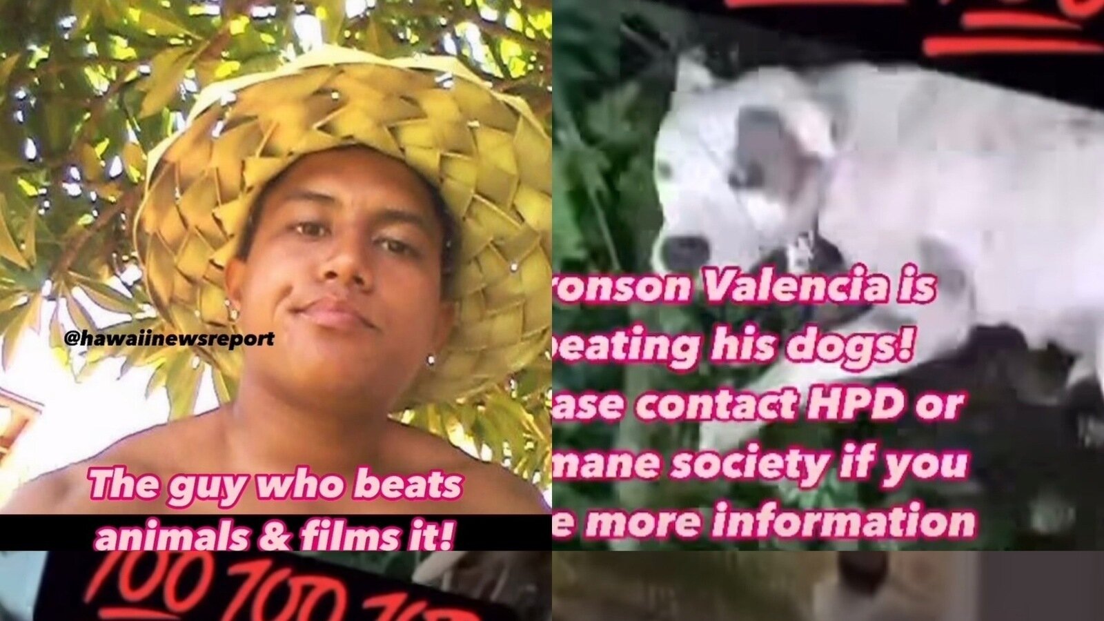 Petition · Demand Hilo Police arrest,prosecute & CONVICT animal abuser ...