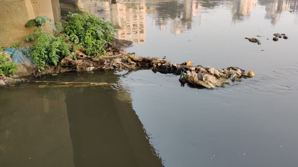Petition · Rivers in Pune need government attention. Let's raise our ...