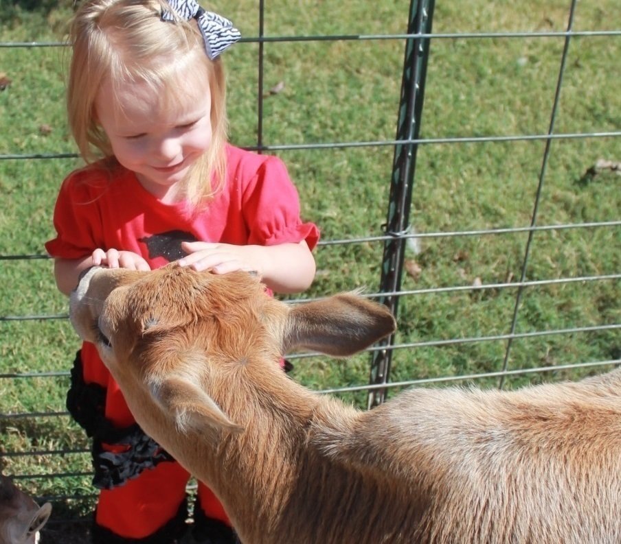 Petition · Please do not condemn Safari 4 of the Gentry Wilderness ...