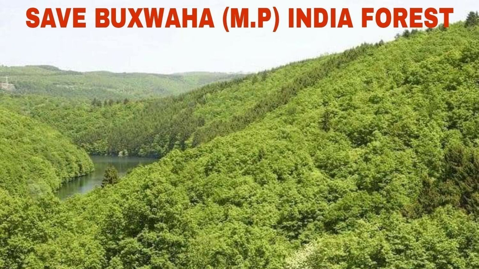 Petition · Government is cutting 2 . 15 lacs trees in Buxwaha Madhya ...