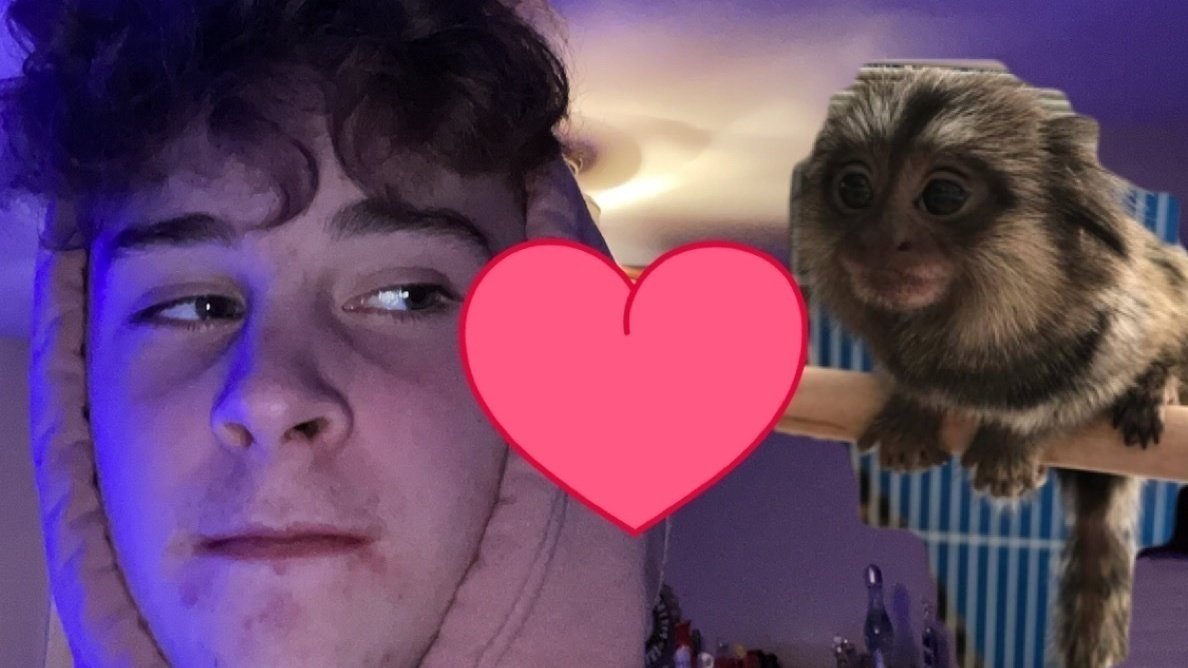 Petition · Help Alessio get a pet monkey - United States · Change.org
