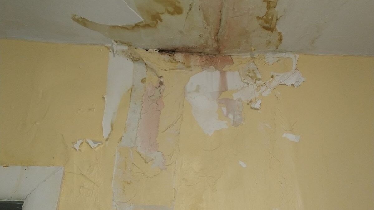 Petition · Hold The Shine Corp Accountable for Discrimination against ...