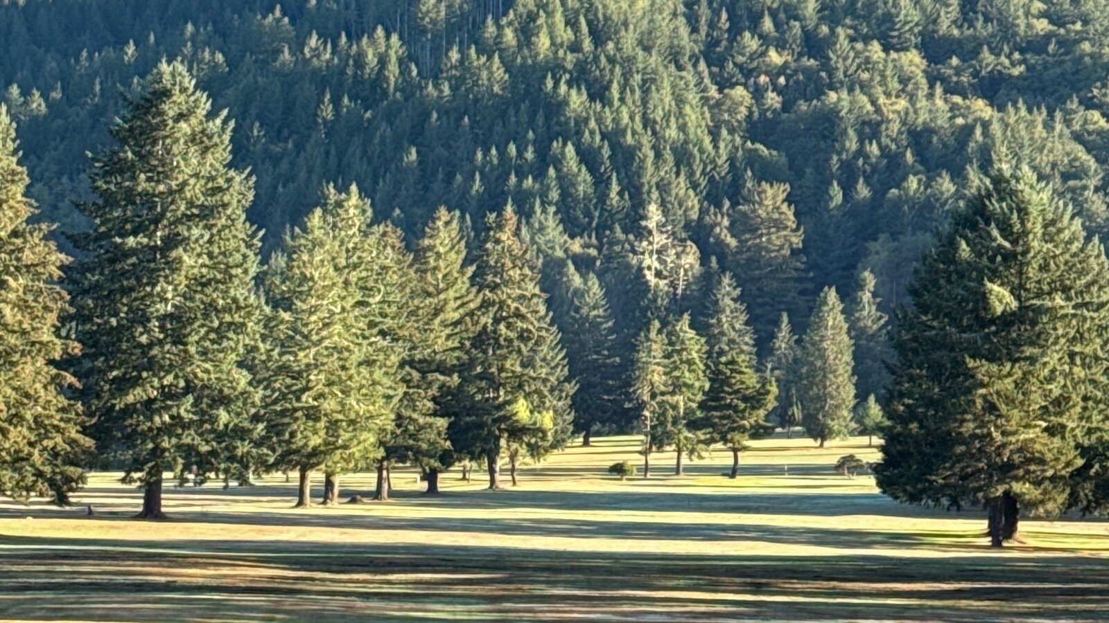 Petition · Save the Del Norte Golf Course - Crescent City, United ...