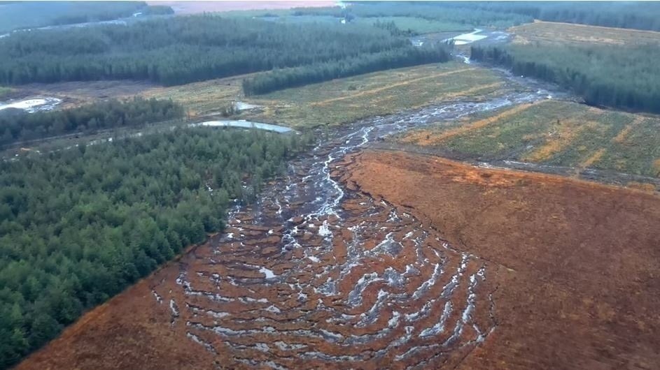 Petition · Ireland should support the recognition of Ecocide as an ...
