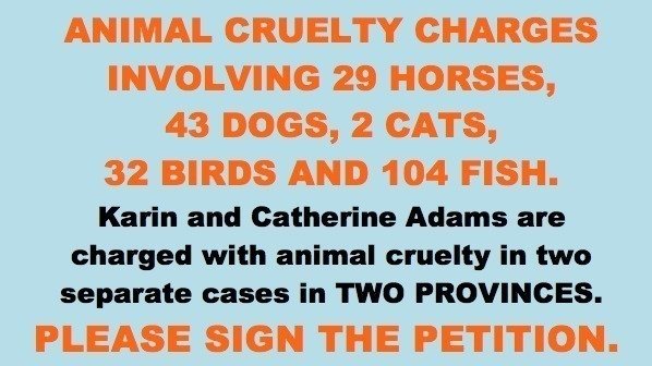 Petition · Maximum penalty, including lifetime ban on owning animals ...