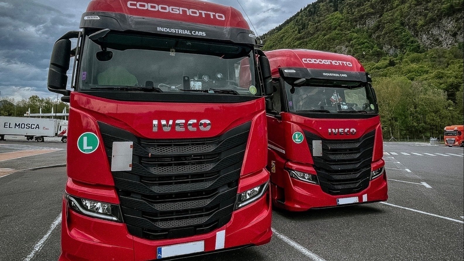 Петиция · Fair pay for drivers CODOGNOTTO Polska - Польша · Change.org