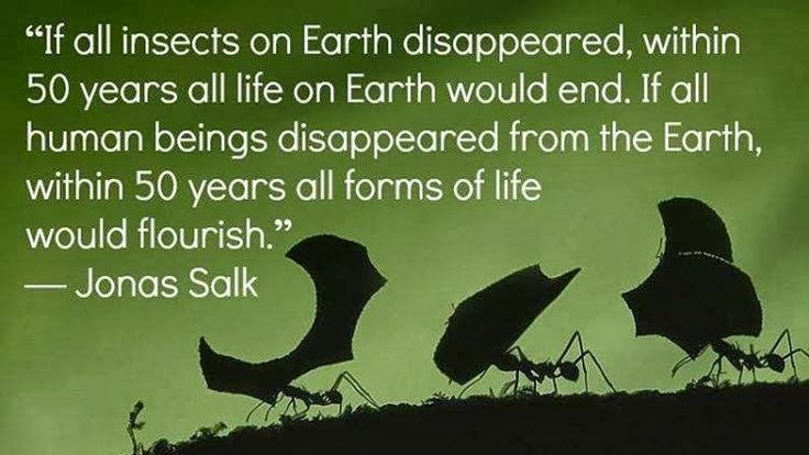 Petition · Help Save Our Environment By Fighting For A Zero ...