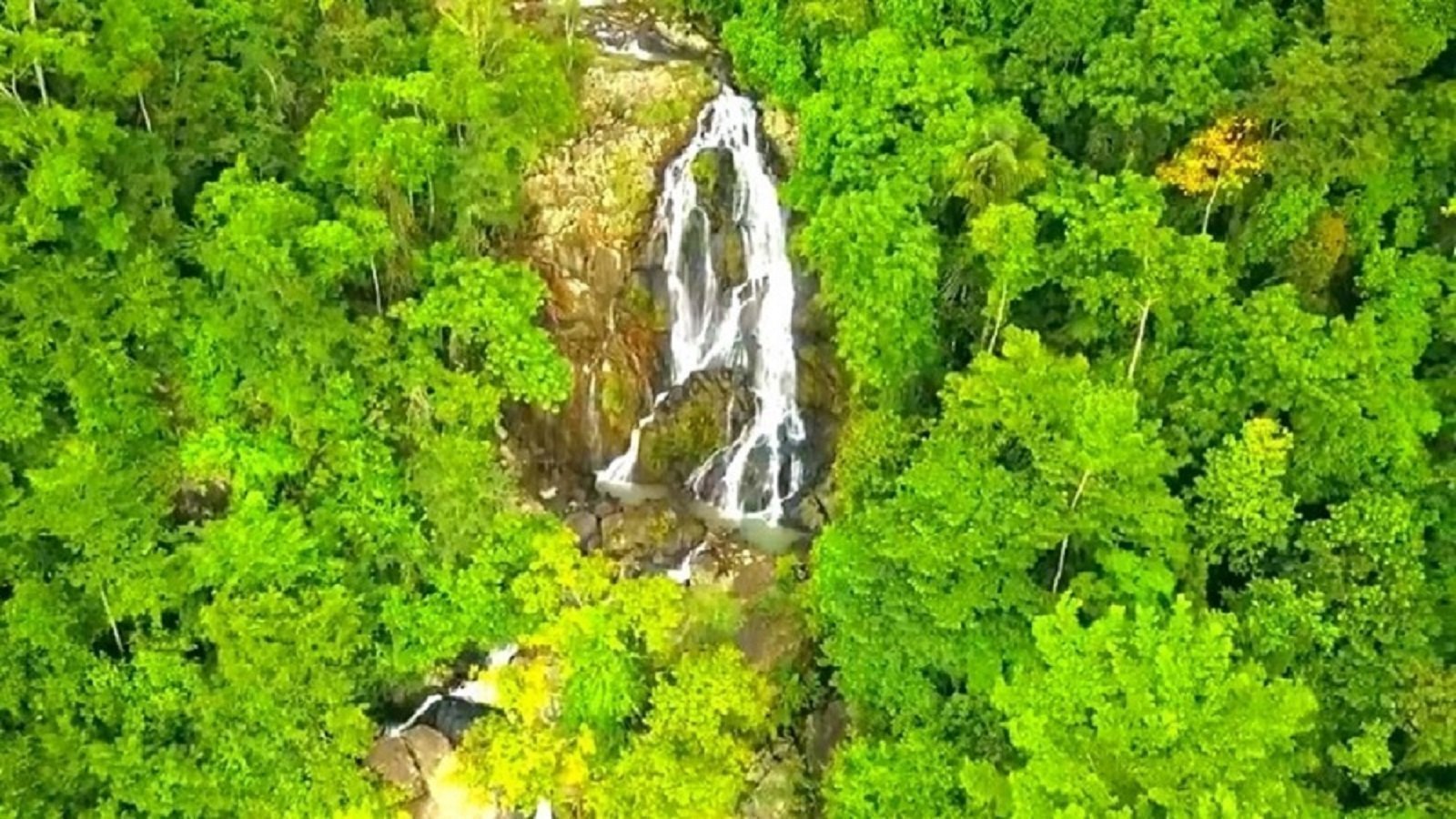 Petition · Preserve and rehabilitate the Protected Area and Watershed ...