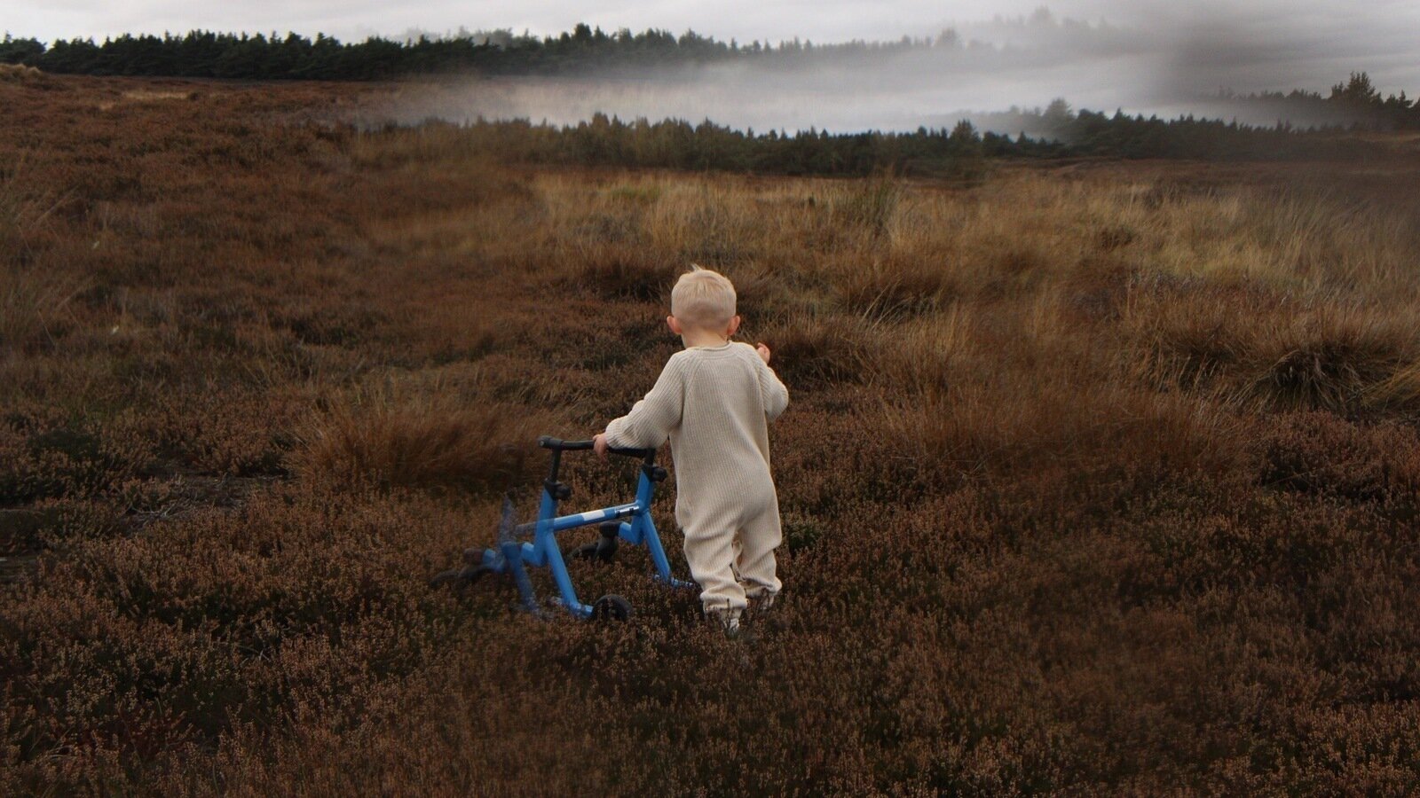 Petition · End Discrimination in Mainstream Education for Students with ...