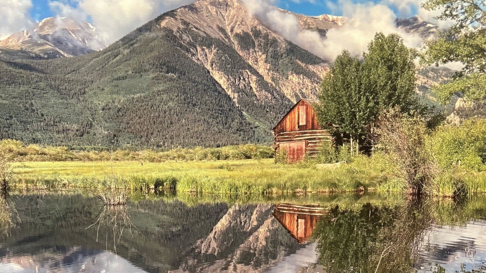 Petition · Restore Twin Lakes Barn Pond and its Associated Wetlands ...