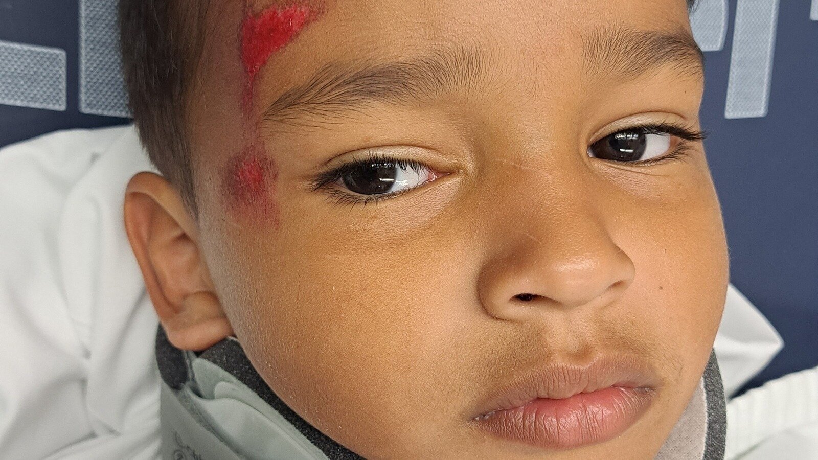 Petition · Implement Fines or Jail Time for Vehicle-Related Accidents ...