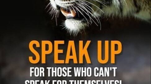 Petition · Justice for Our Furry Friends: Strengthening Animal Rights ...