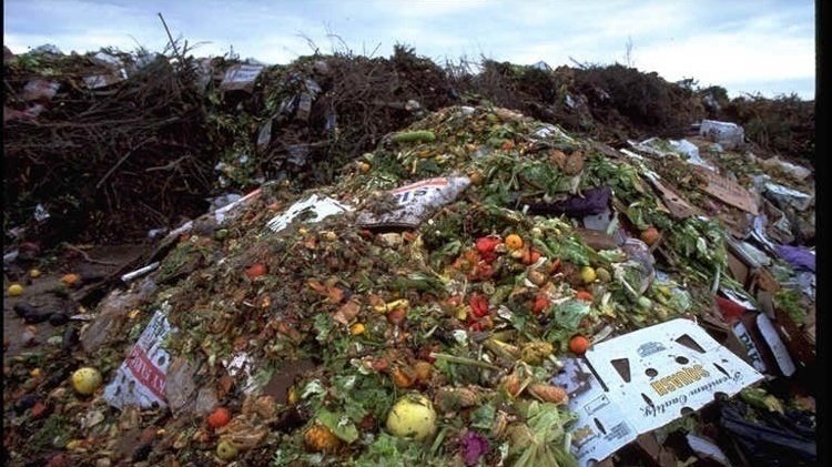 Petition · Petition to feed the homeless with unsold grocery store ...