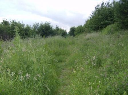 Petition · Refuse planning permission to build houses on the historic ...