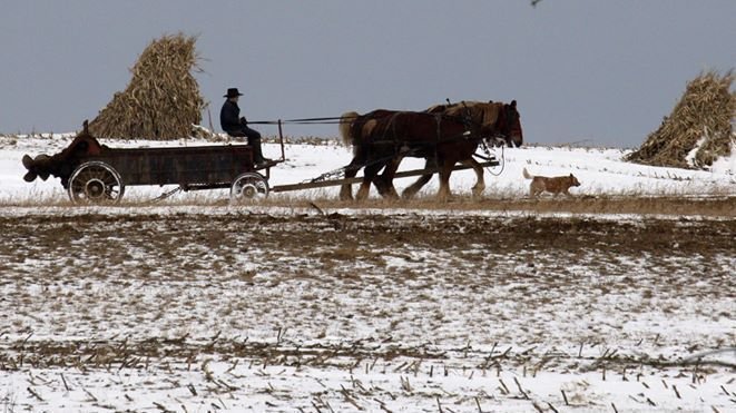 Petition · Support the Amish in Eau Claire County and the State of ...