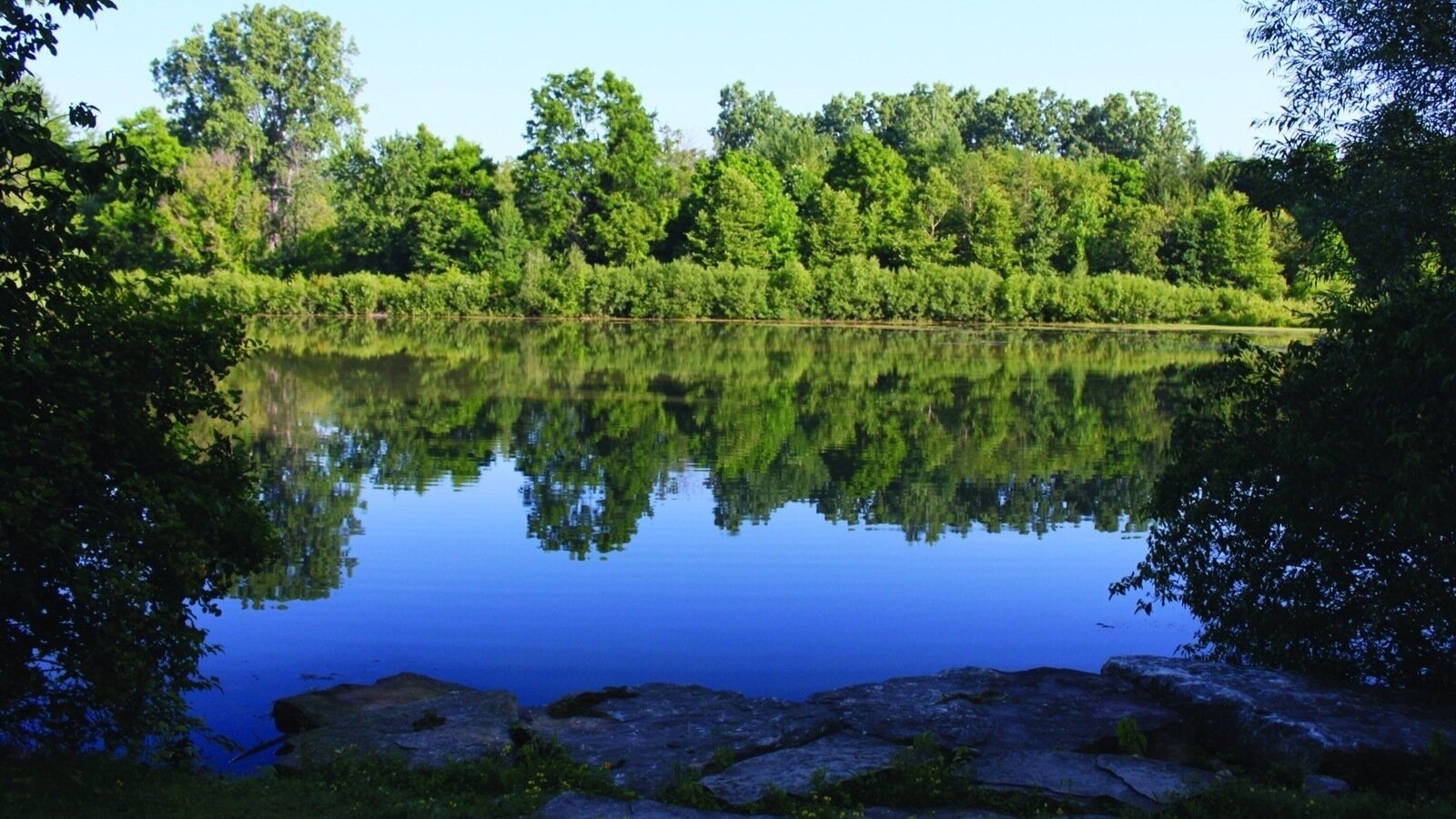 Petition · Halt the Construction of 400 new Town Houses, walk ups and ...