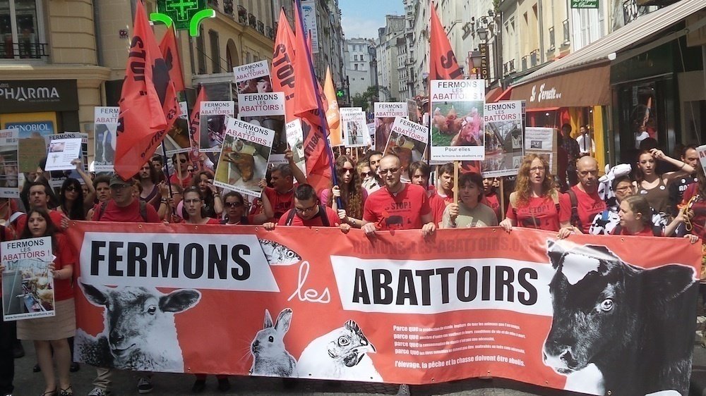 Pétition · La fermeture des abattoirs de l'île de la Réunion - France ...