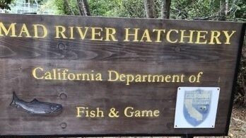 Petition · Save Mad River Fish Hatchery - Blue Lake, United States ...