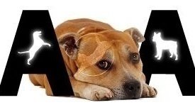 Petition · Please give AA dog rescue planning permission to continue as ...