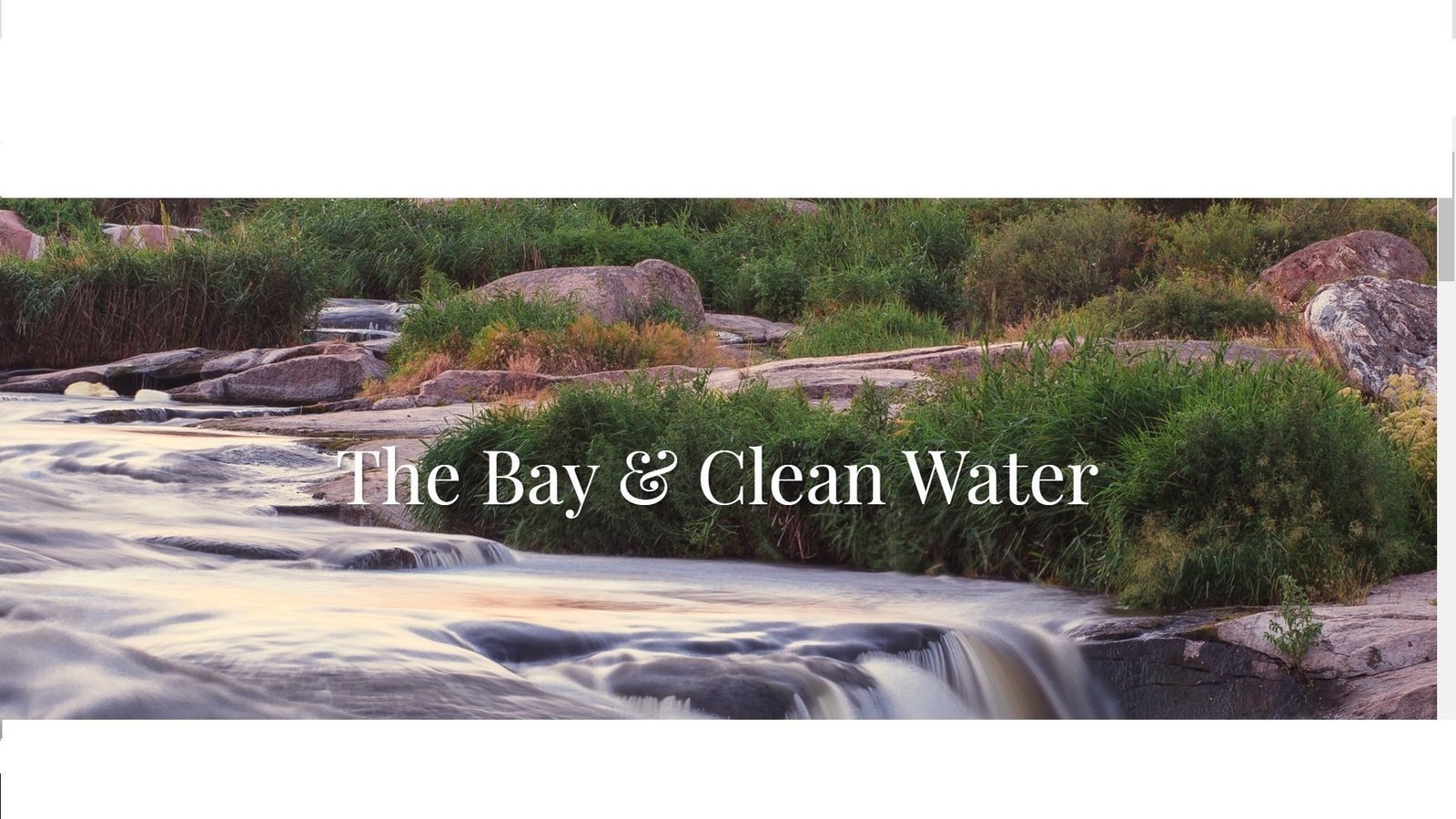 Petition · Clean the Chesapeake Bay - United States · Change.org