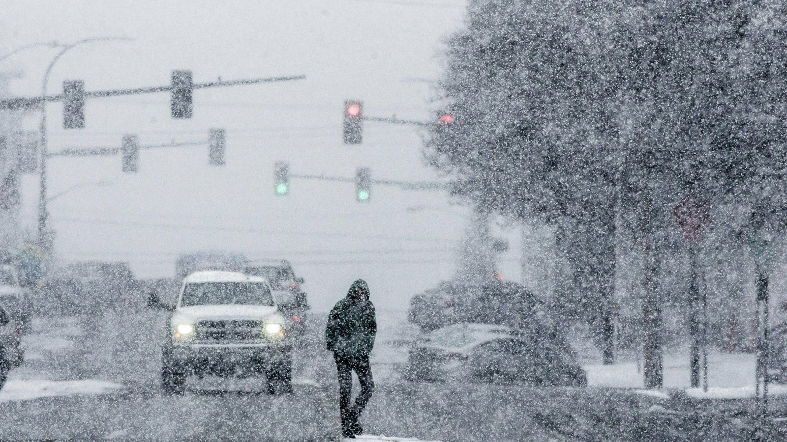 Petition · Petition for a snow-day in Delta due to dangerous conditions ...