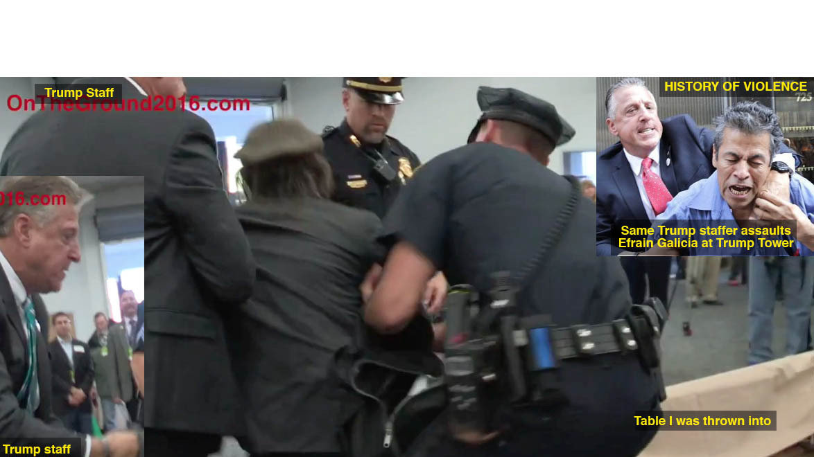 Petition · Peace activist attacked by Donald Trump's staff needs your ...