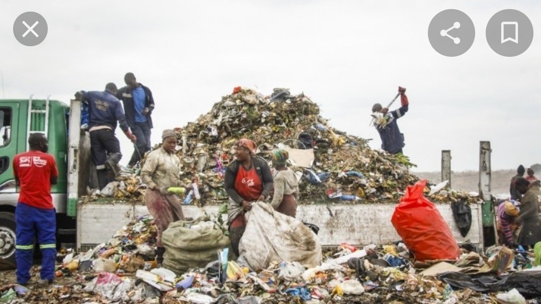 Petition · GABBAGE COLLECTION IN LIVINGSTONE - United States · Change.org