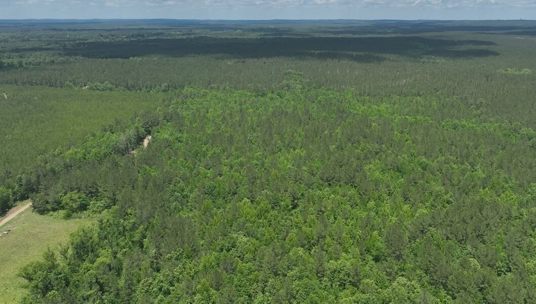 Petition · Halt the Jasper Solar Farm Project - Bay Springs, United ...