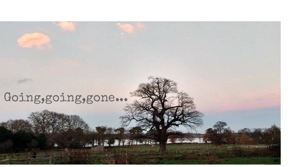 Petition · Save Mistley Place Park - say NO to residential development ...