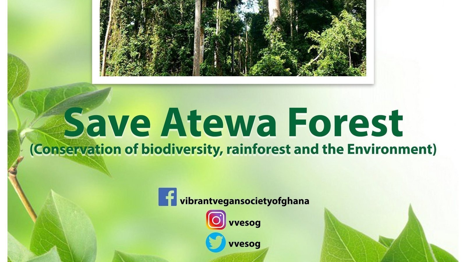 Petition · SAVE ATEWA FOREST NOW! - Ghana · Change.org