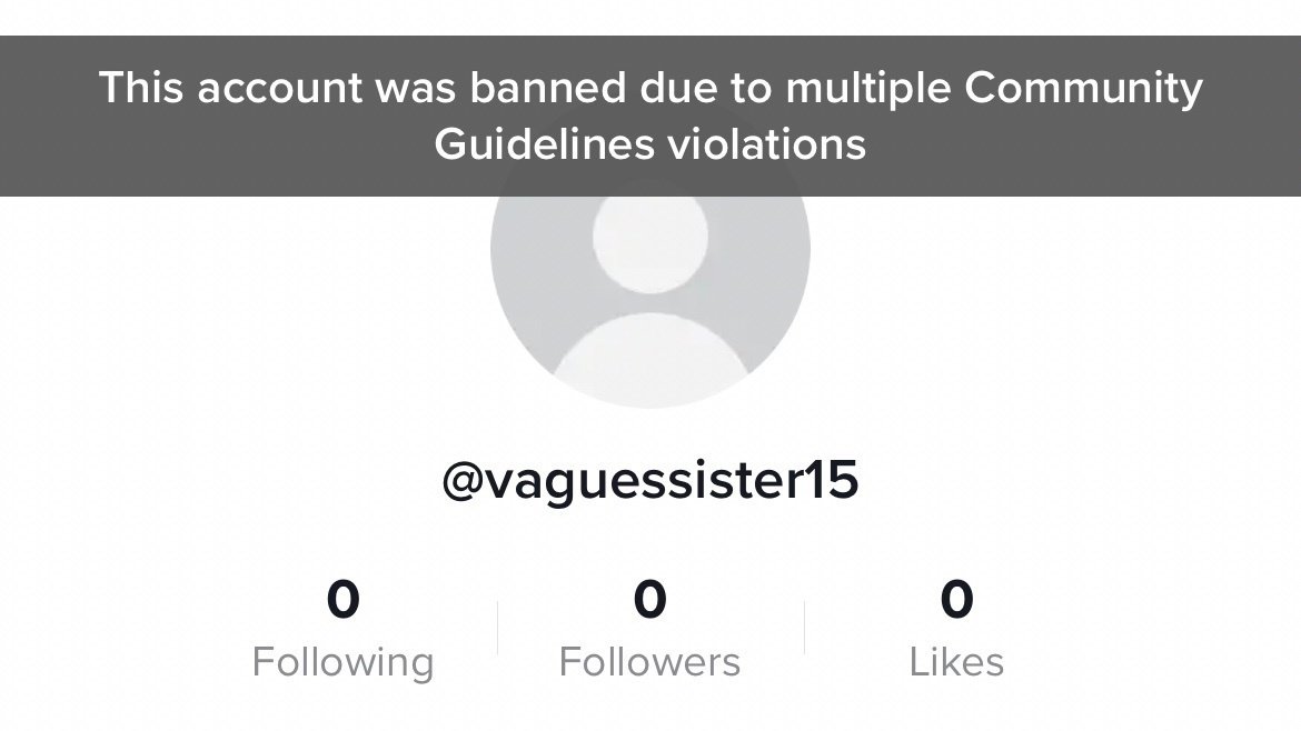 Petition My Tiktok Account Back Change petition-my-tiktok-account-back-change