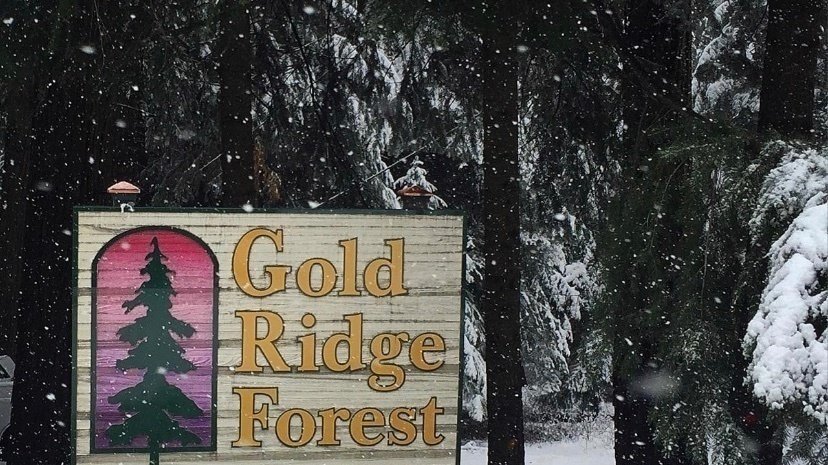 Petition · Save Gold Ridge Forest From Autocratic Decisions by the POA ...