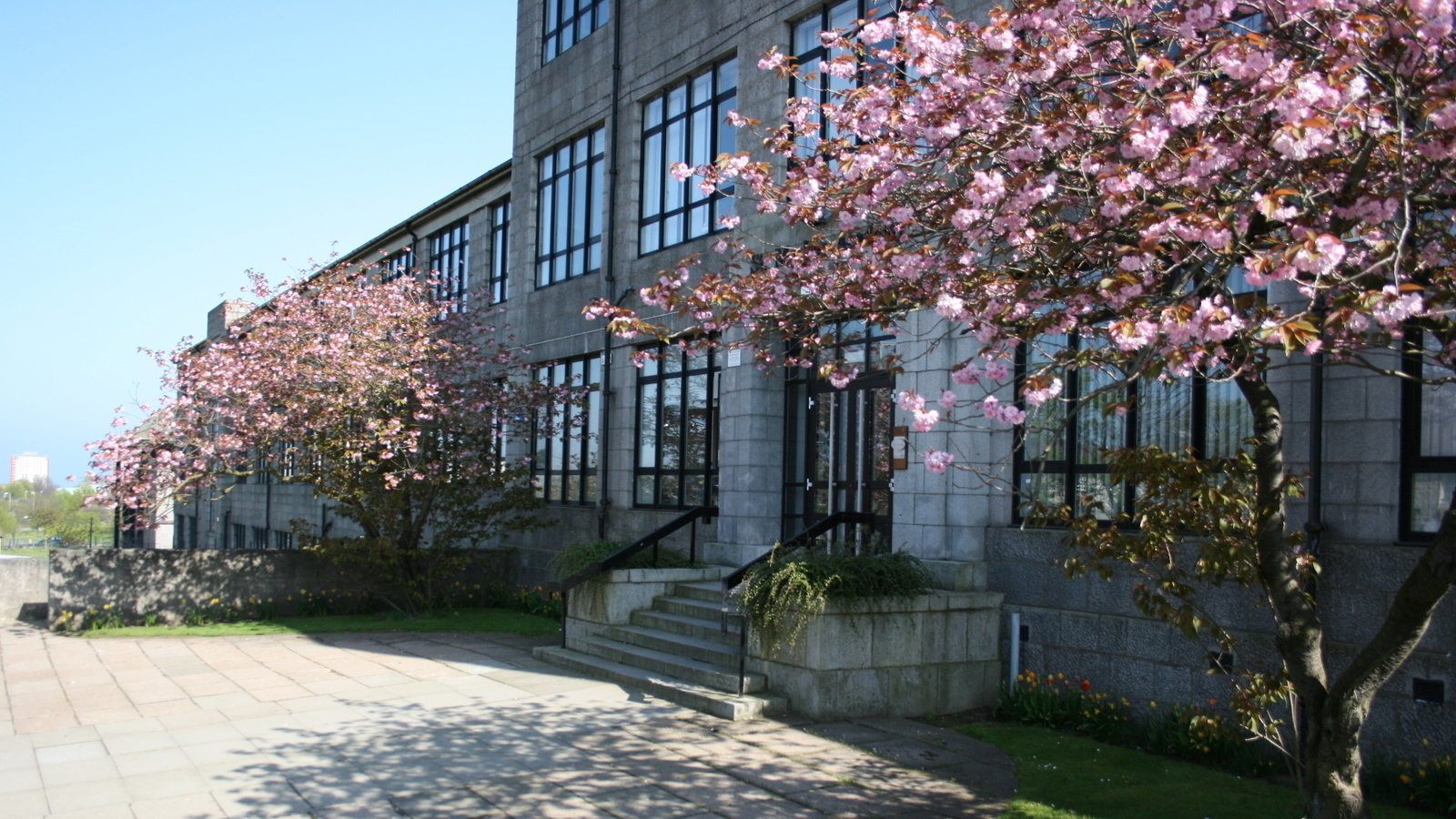 Petition · Have Mr. Purdie put in place as the head teacher of St ...