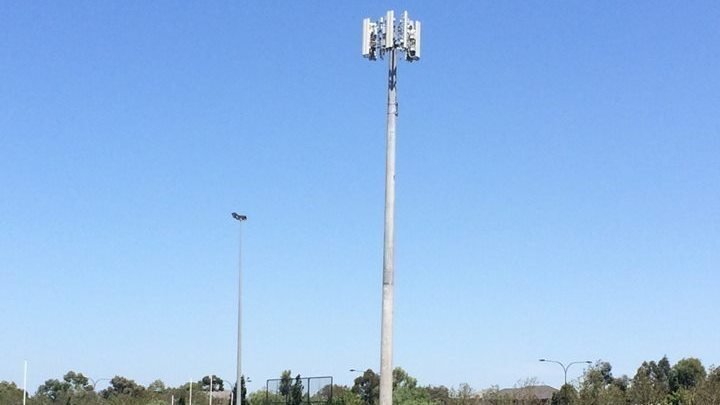 Petition · Say "NO" to the proposed 195 foot cell phone tower on the ...