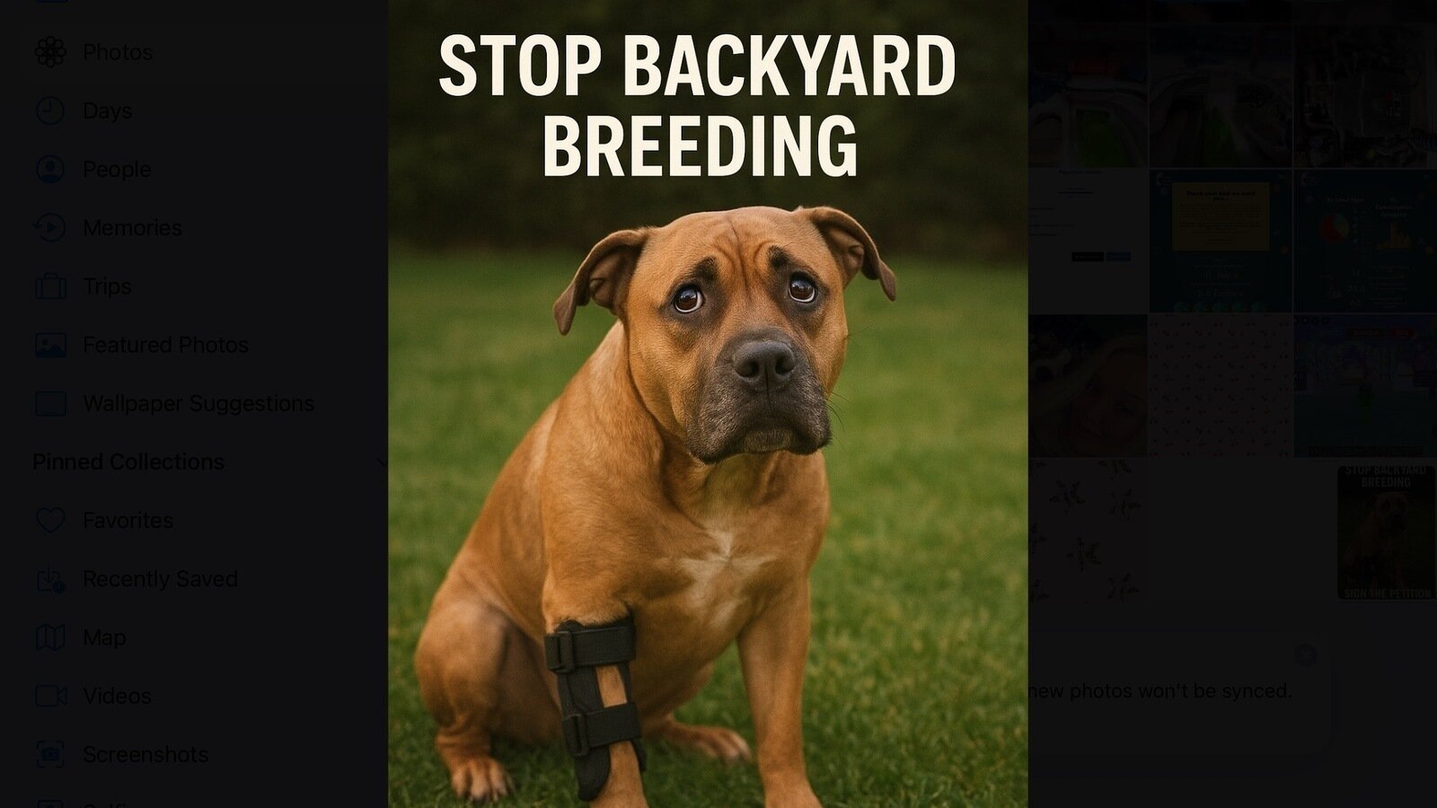 Petition · Stop backyard breeding in Mississippi - Iuka, United States ...