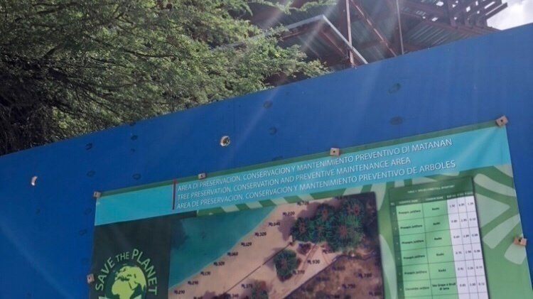 Petition · Save Aruba’s beloved Kwihi Tree & Local Hangout Spot | 1000 ...