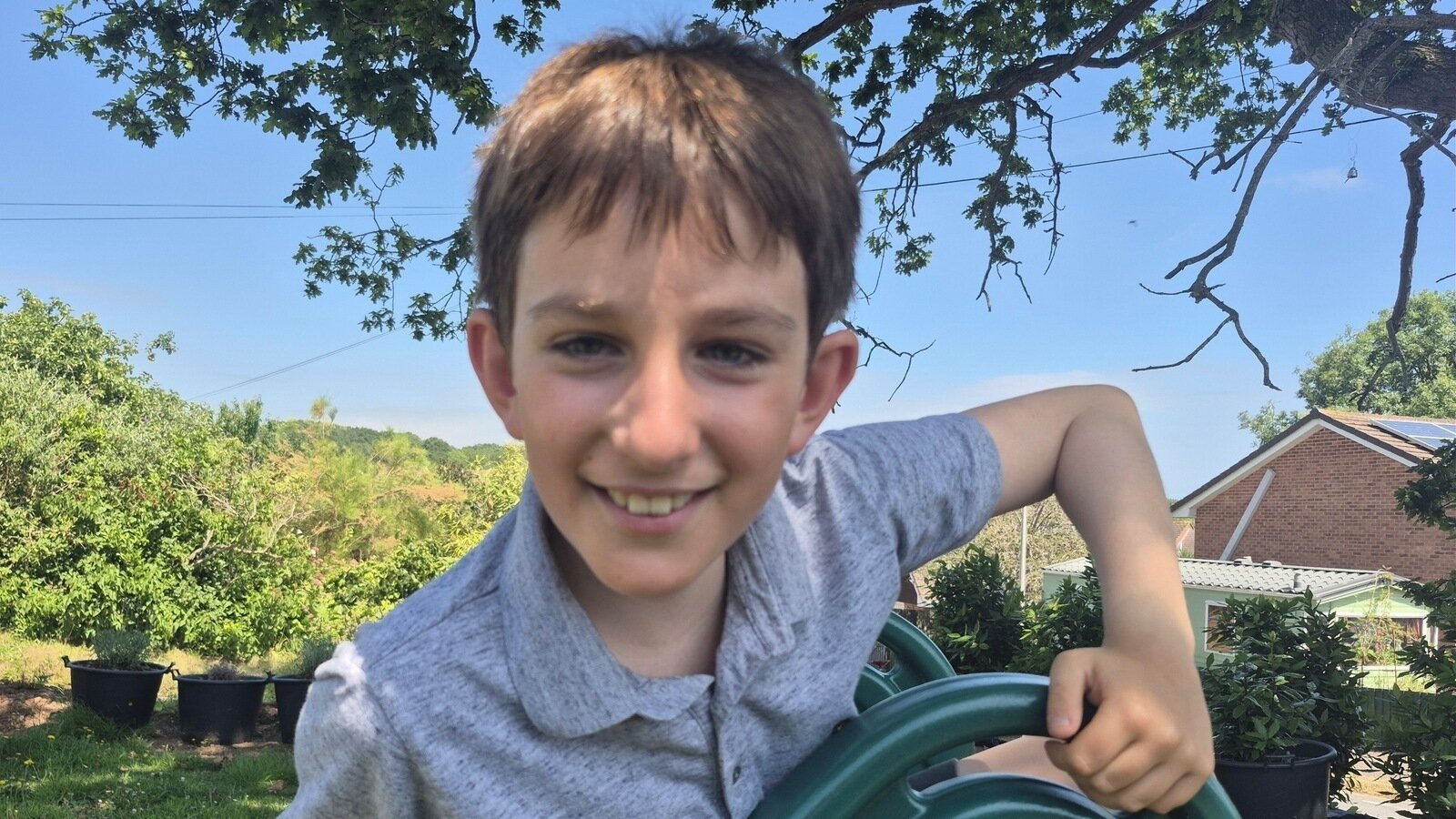 Petition · Save Redd’s Tree ! - Exmouth, United Kingdom · Change.org