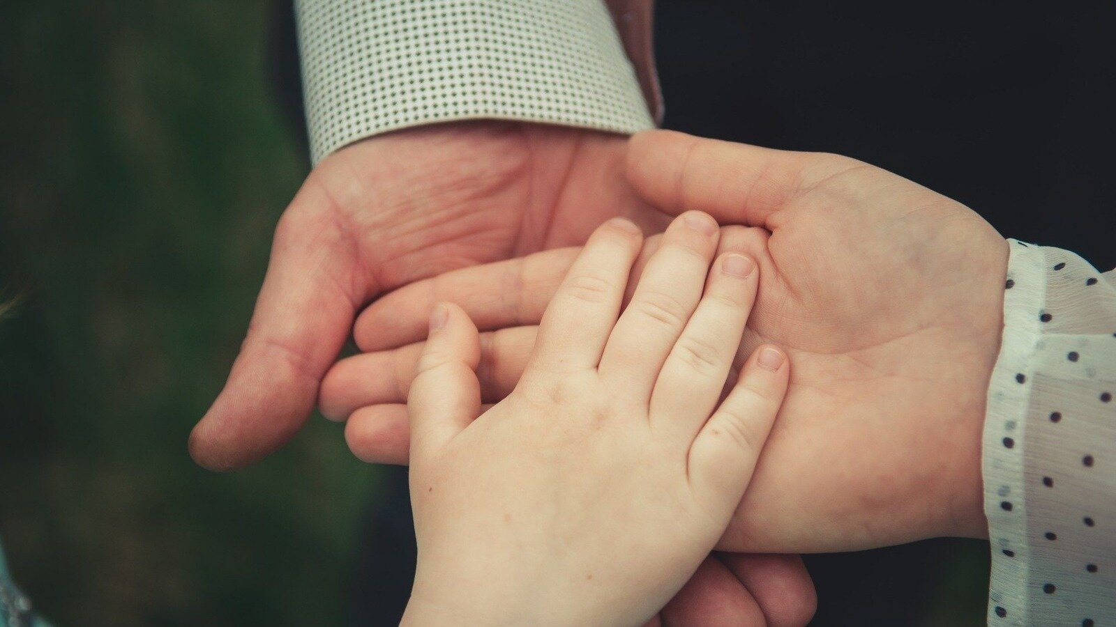 Petition · Let them in: Humanitarian Pathways Applications for ...