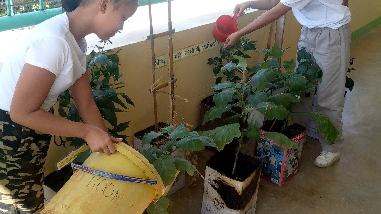 Petition · Promote Plant Care for a Healthier and Greener Future in ...