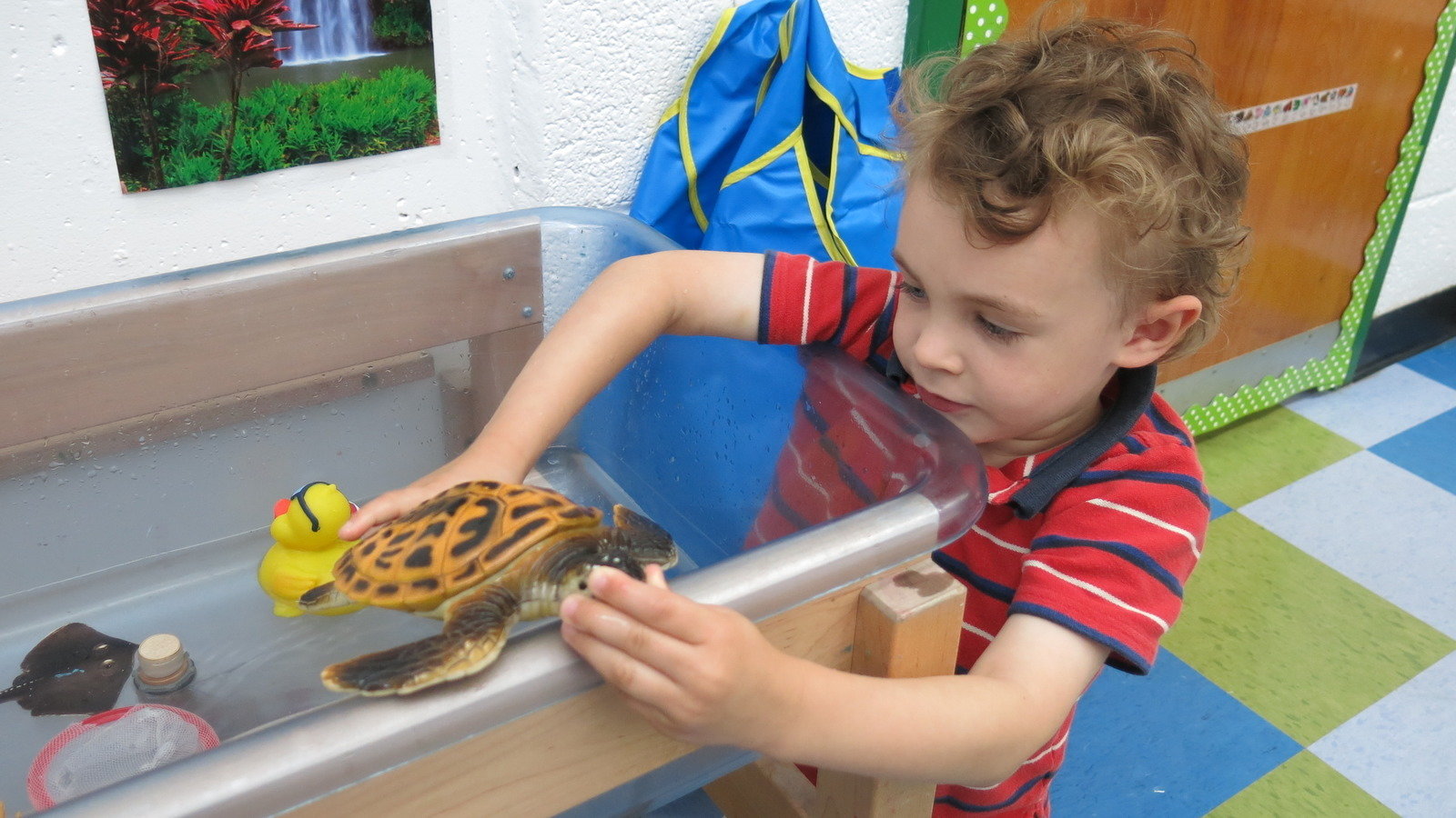 Petition Continue To Fund Half Day Pre K United States Change Org