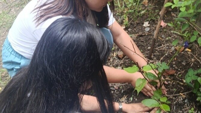 Petition · Plant More Trees at Abanon School Grounds - San Carlos City ...