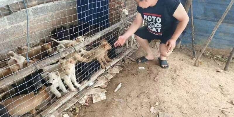 Petition update · Defiance in the Face of Adversity · Change.org ...