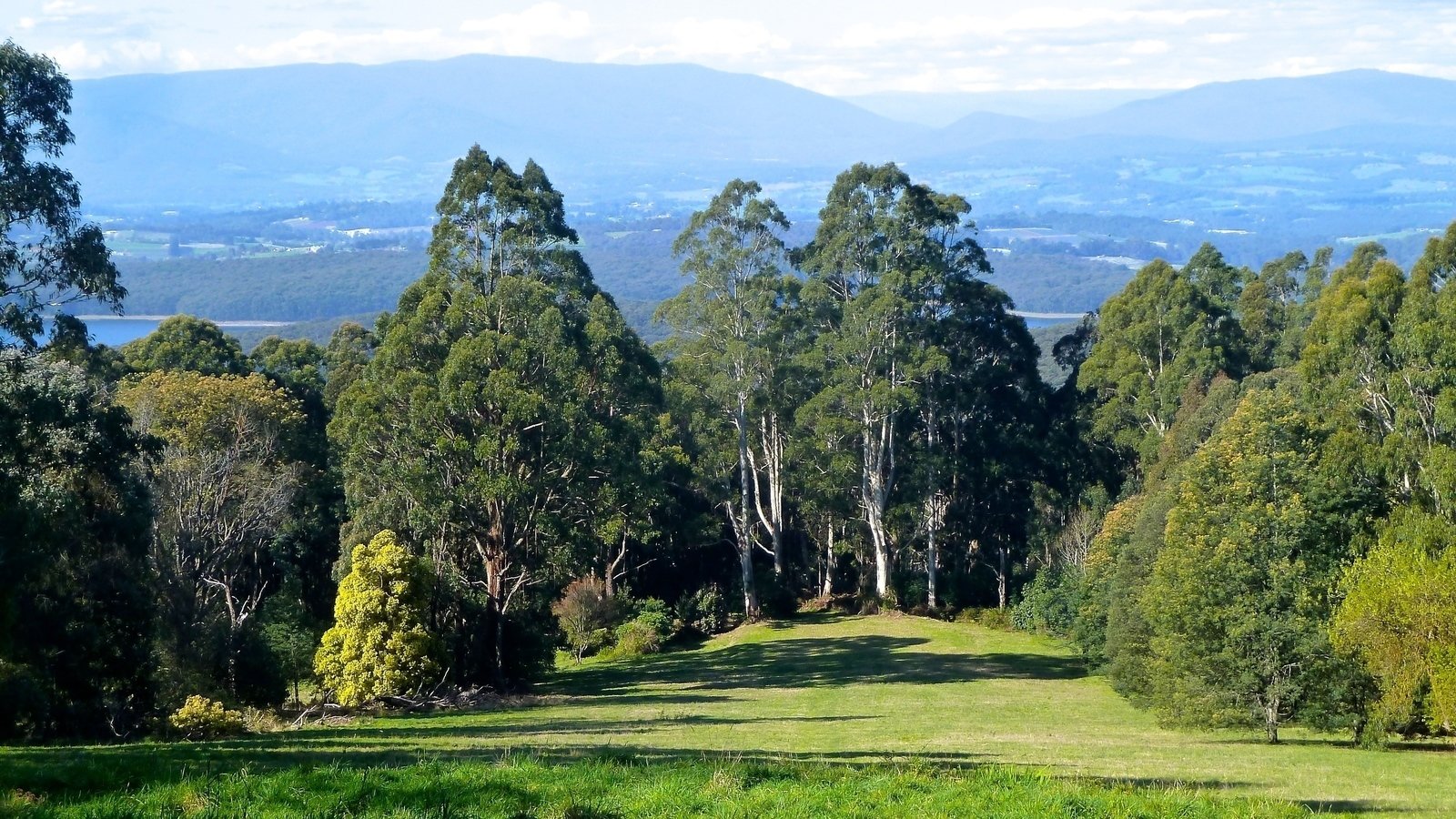 Petition · Save the Former Olinda Golf Course from Sporting Development ...